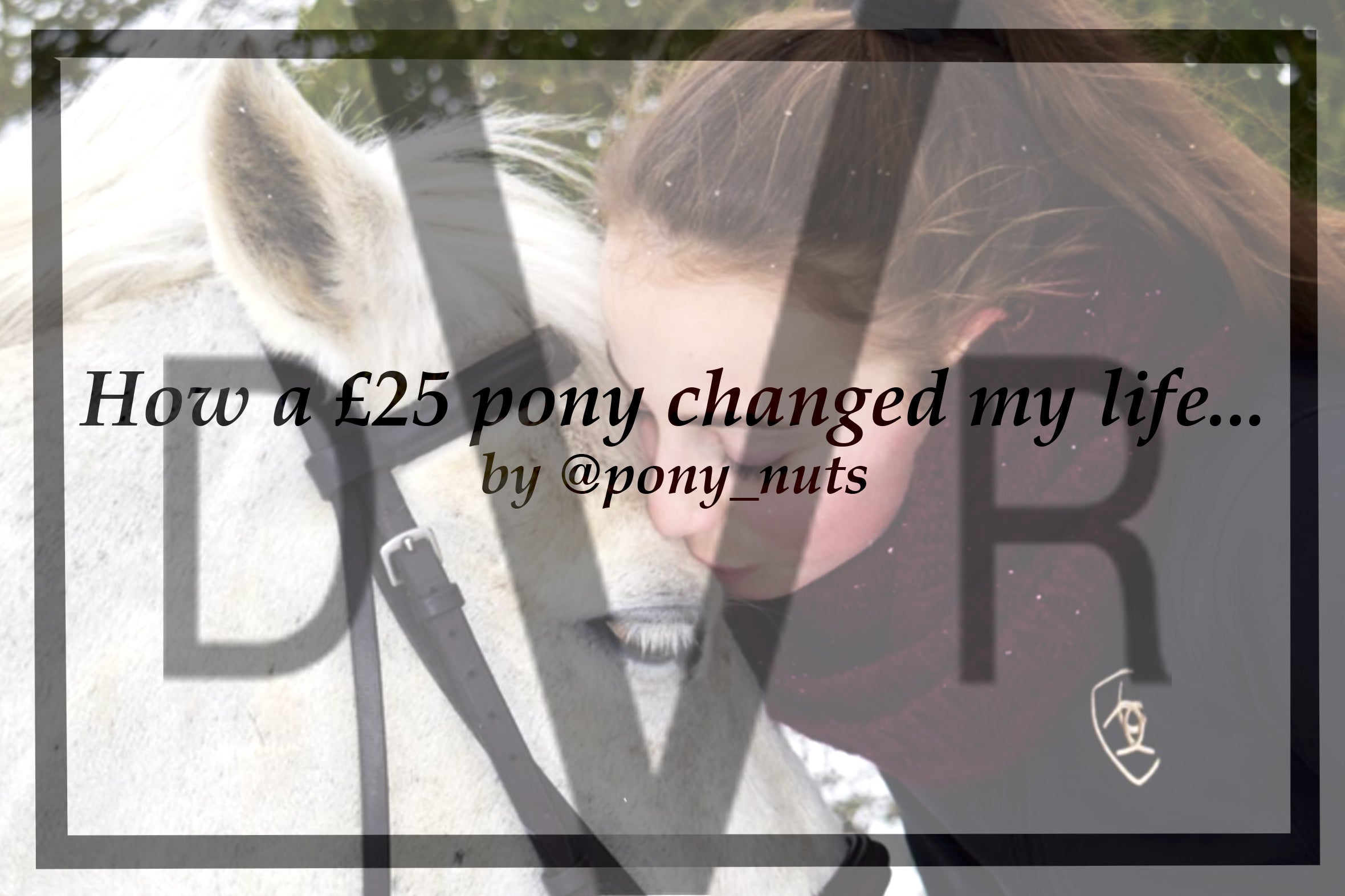 *NEW 'Stories Shared' blog series! First story from @pony_nuts – DVR ...