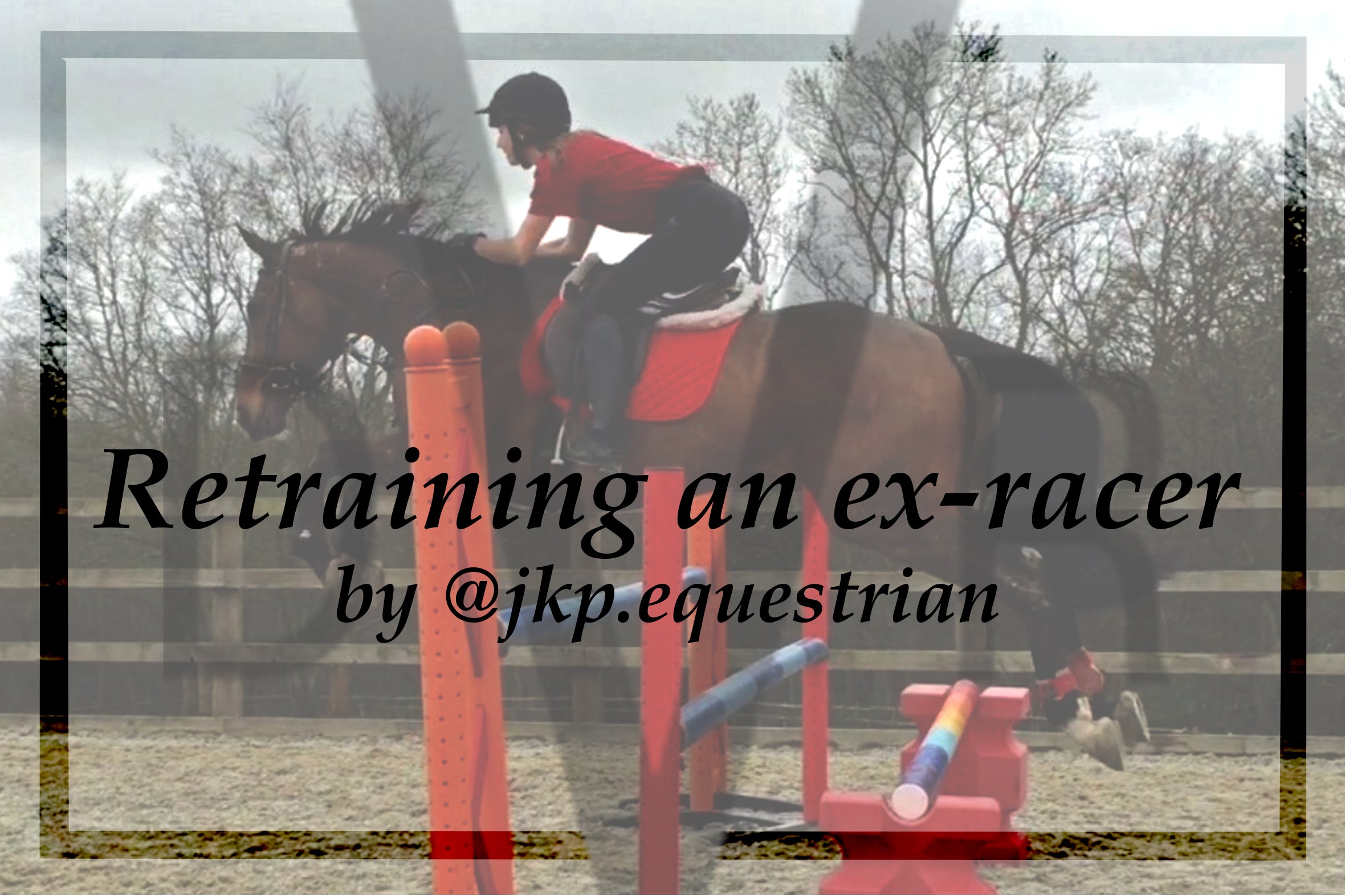 Sunday Stories Shared - @jkp.equestrian talks retraining an ex-racer ...